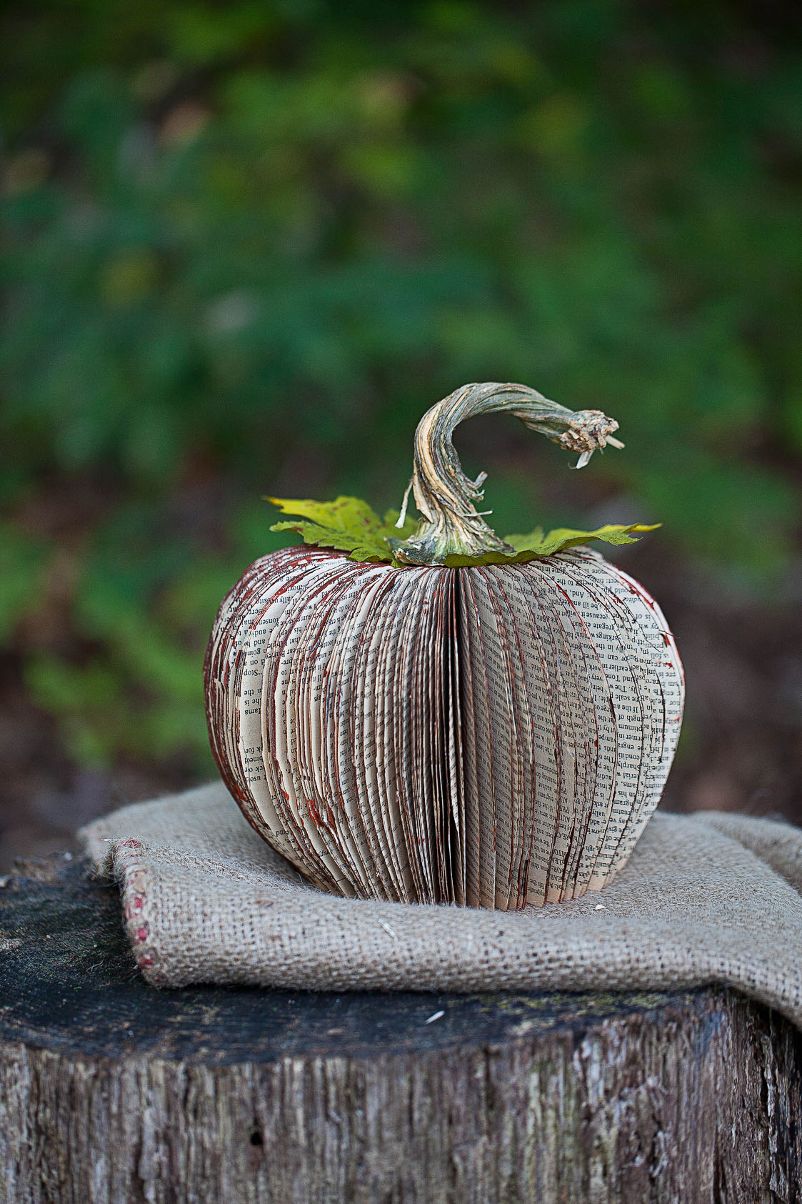 16 Fall Craft Ideas