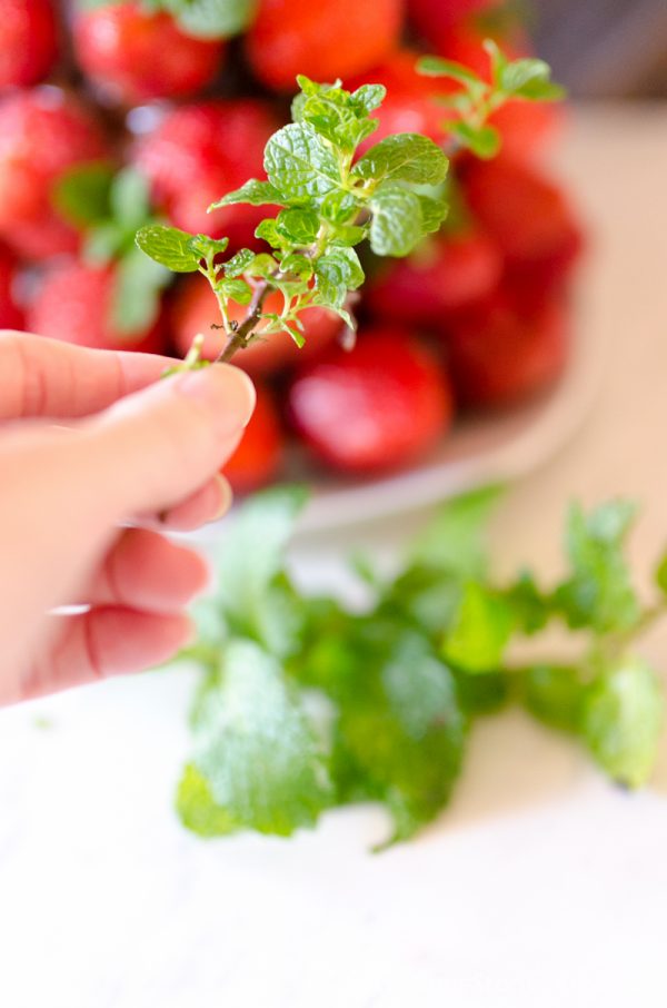 Christmas Desserts: Chocolate Covered Strawberry Christmas Tree