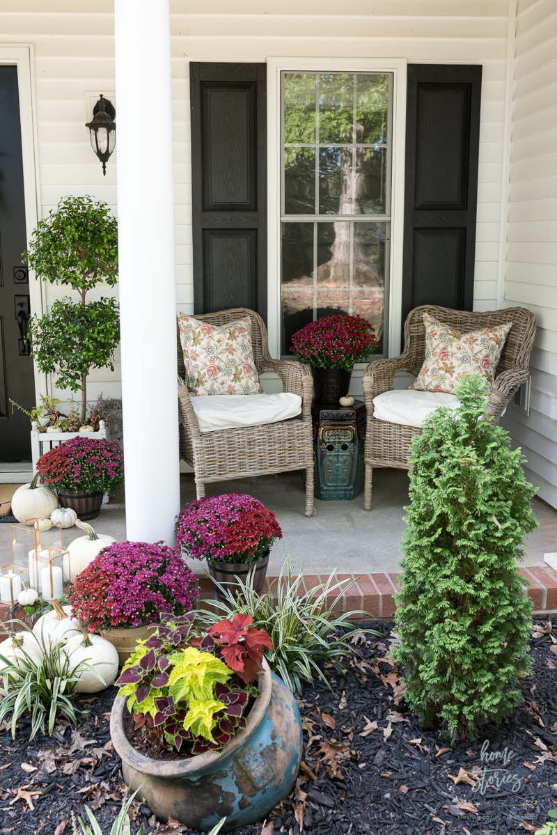 Plum and Red Mums Fall Porch