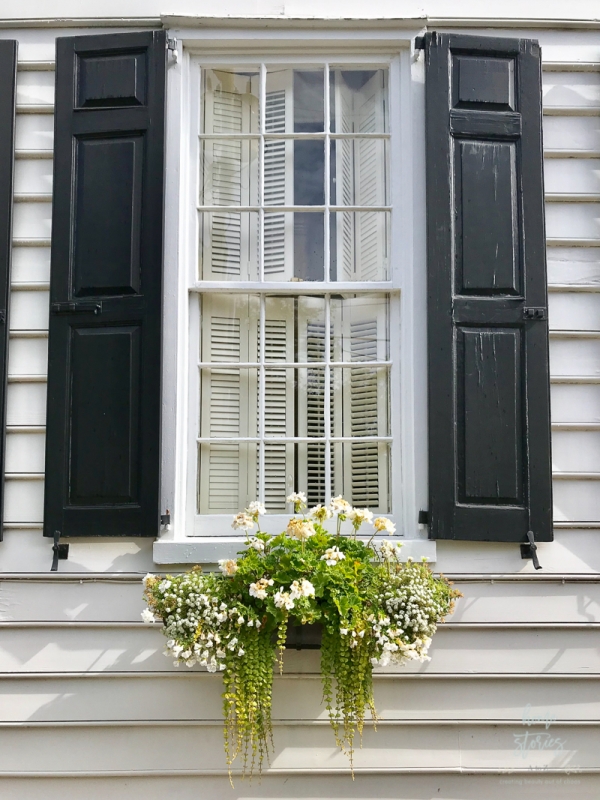 Flower Box Ideas: Window Flower Box Inspiration from Charleston Homes