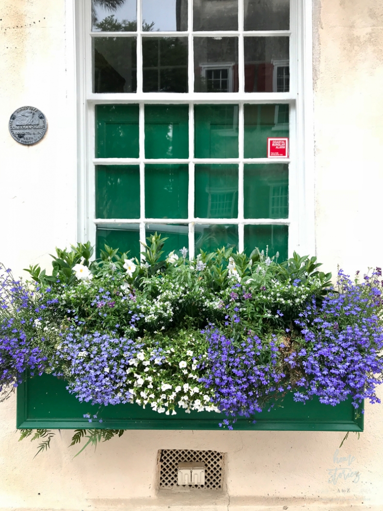 Flower Box Ideas: Window Flower Box Inspiration from Charleston Homes