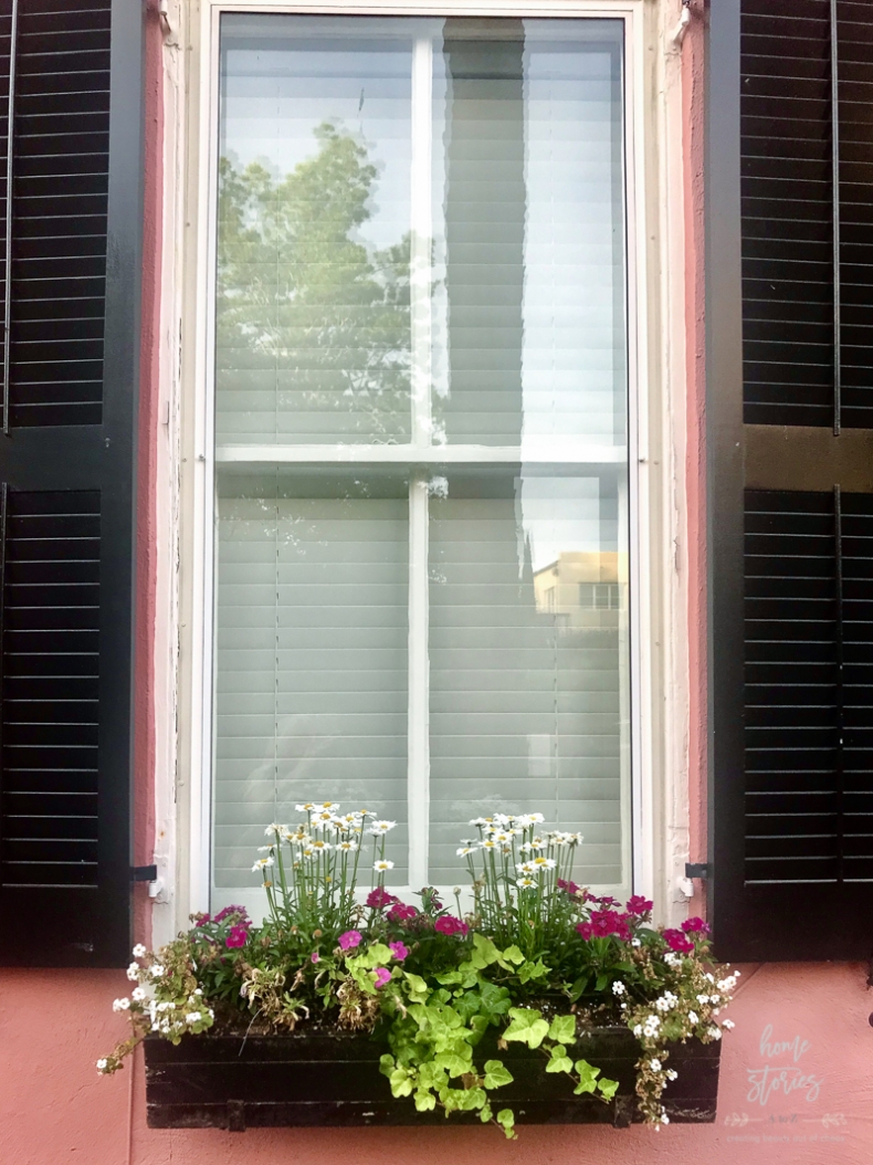 Flower Box Ideas: Window Flower Box Inspiration from Charleston Homes