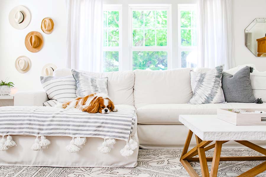 Summer Decorating Ideas: Simple Ideas to Bring Summer Fun into Your ...