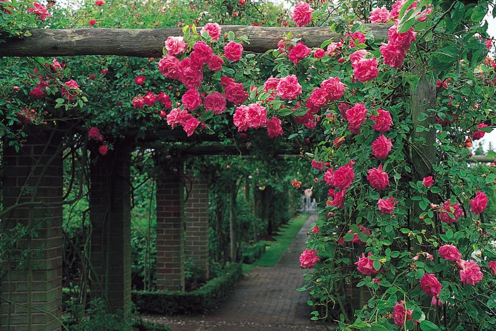 Amazing Pergola Ideas: DIY Tutorials, Gorgeous Inspiration, and Styling ...